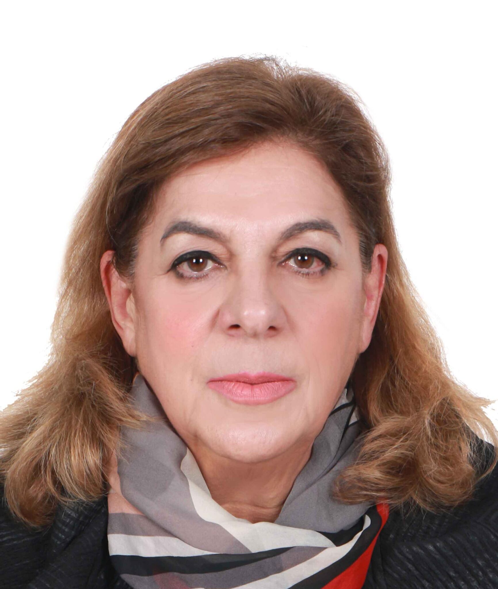 Hussein Ibish - AGSI